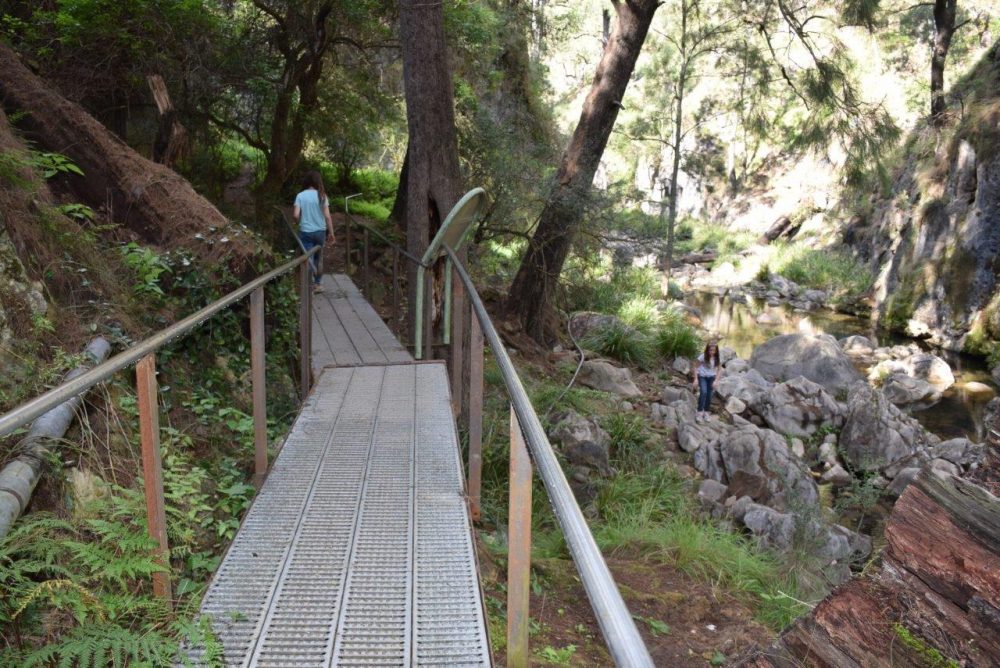 3 reasons why your kids will love this NSW bushwalk!