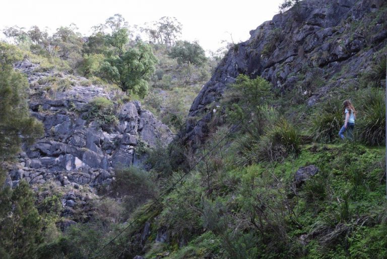 3 reasons why your kids will love this NSW bushwalk!