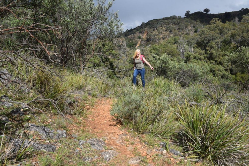 3 reasons why your kids will love this NSW bushwalk!