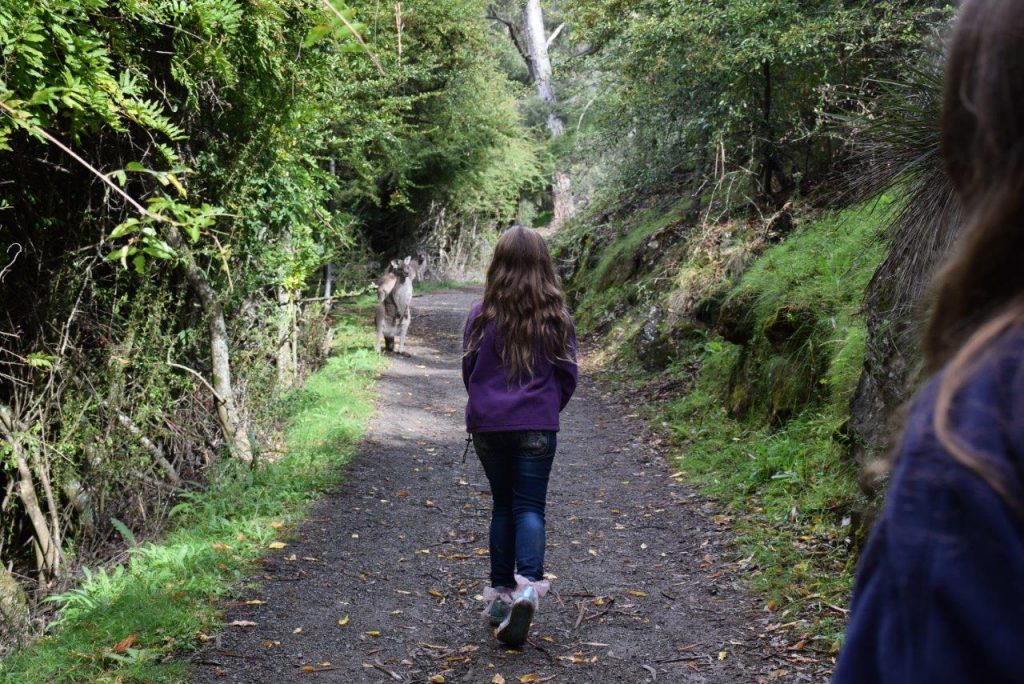 3 reasons why your kids will love this NSW bushwalk!