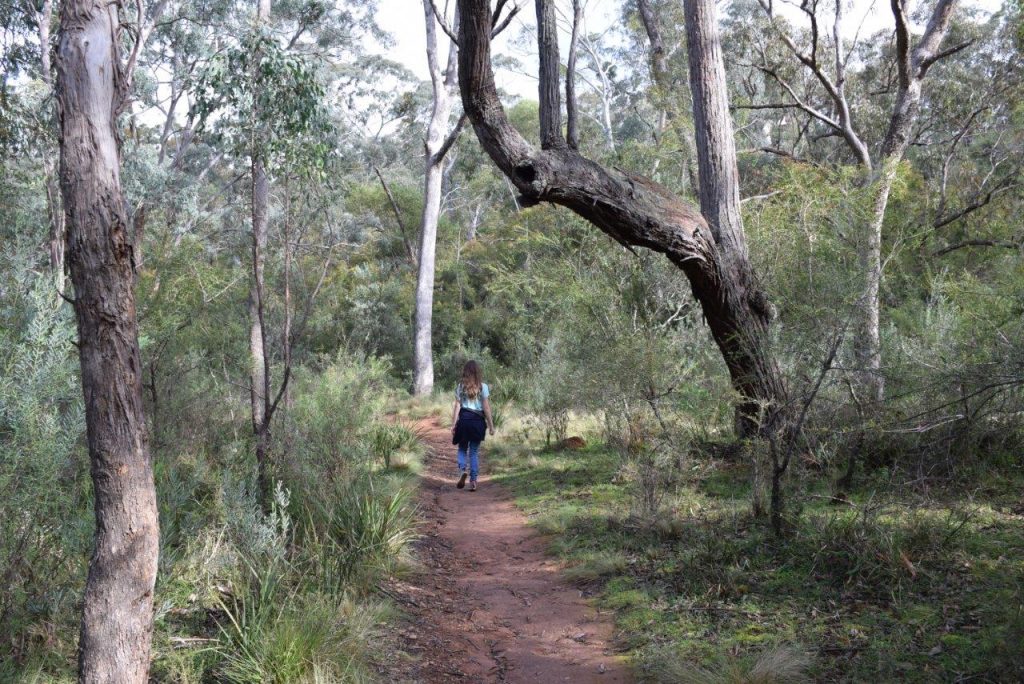 3 reasons why your kids will love this NSW bushwalk!