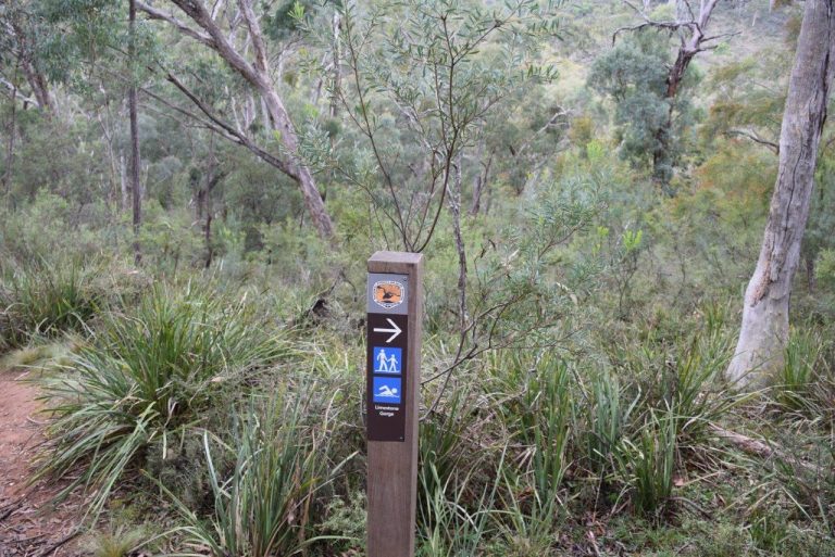 3 reasons why your kids will love this NSW bushwalk!