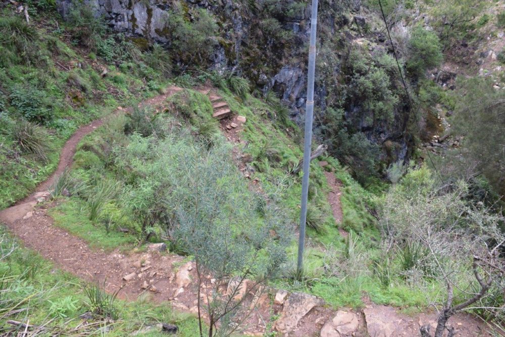 3 reasons why your kids will love this NSW bushwalk!