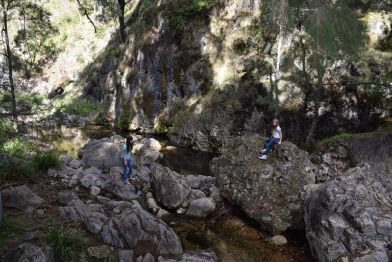 3 reasons why your kids will love this NSW bushwalk!