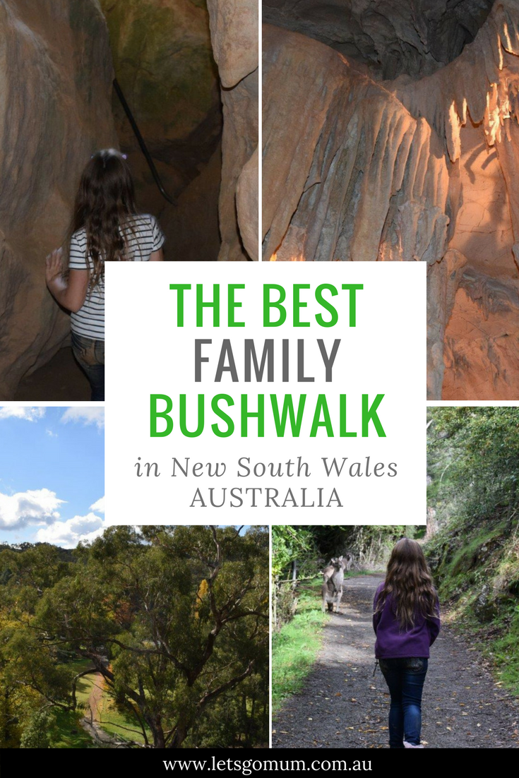 3 reasons why your kids will love this NSW bushwalk!