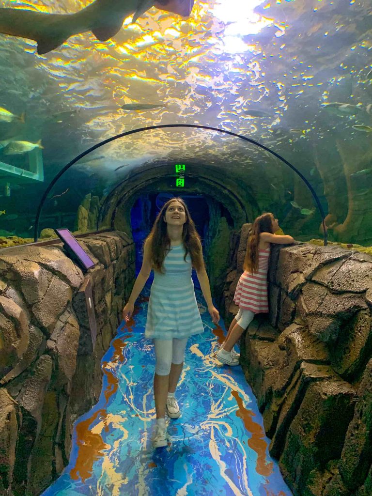 Sydney Aquarium Review - Things to do in Sydney with kids! | Let's go Mum