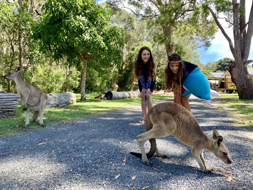 NRMA South West Rocks Holiday Park review | Let's go Mum