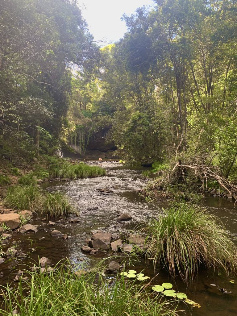 Byron Bay waterfalls - Killen Falls - public swimming waterfall | info ...