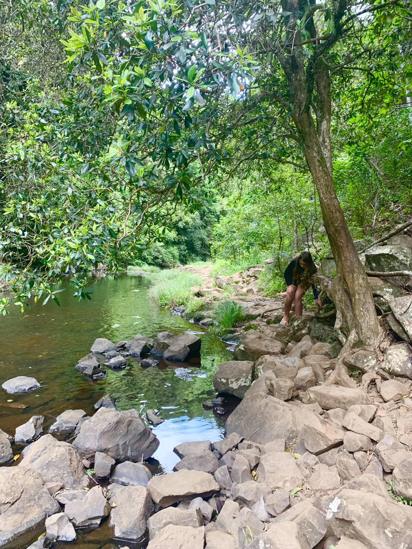 Byron Bay waterfalls - Killen Falls - public swimming waterfall | info ...