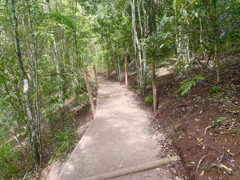 Byron Bay waterfalls - Killen Falls - public swimming waterfall | info ...