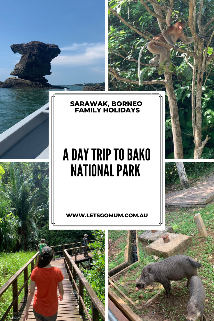 Bako National Park - Kuching in Sarawak, Malaysia, Borneo | Let's go Mum