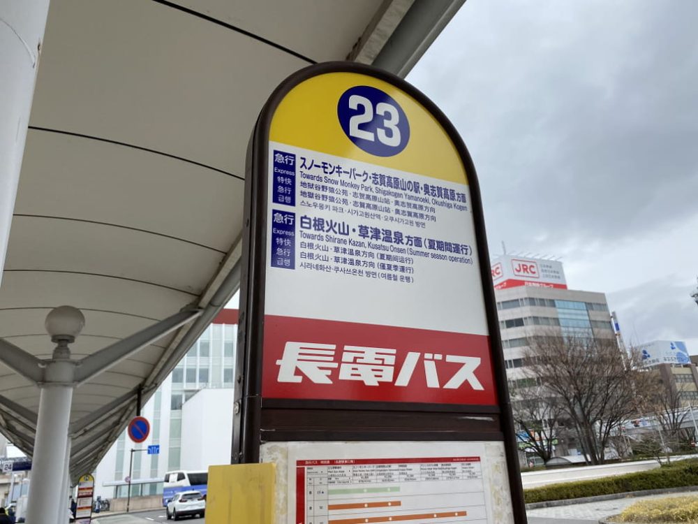 Snow Monkeys of Nagano Day Trip from Tokyo review | Let's go Mum