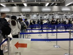 Visit Japan Web QR entry code - a beginner's guide! | Let's go Mum